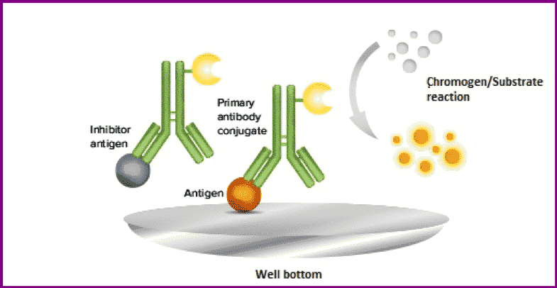 ELISA Assay Technology | Discover Biomat Microplates for ELISA