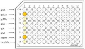 Mouse Monoclonal Antibody Isotyping Coated Microplate | Biomat
