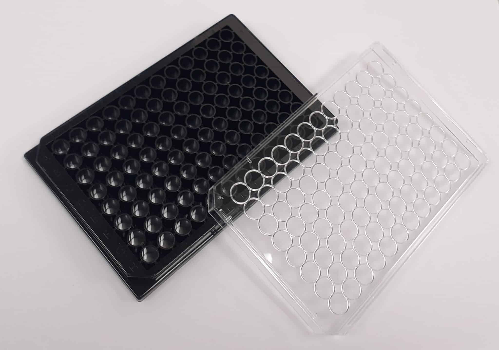 Poly-D-lysine Coated 96 Well Plates | Biomat Tissue Culture Plates